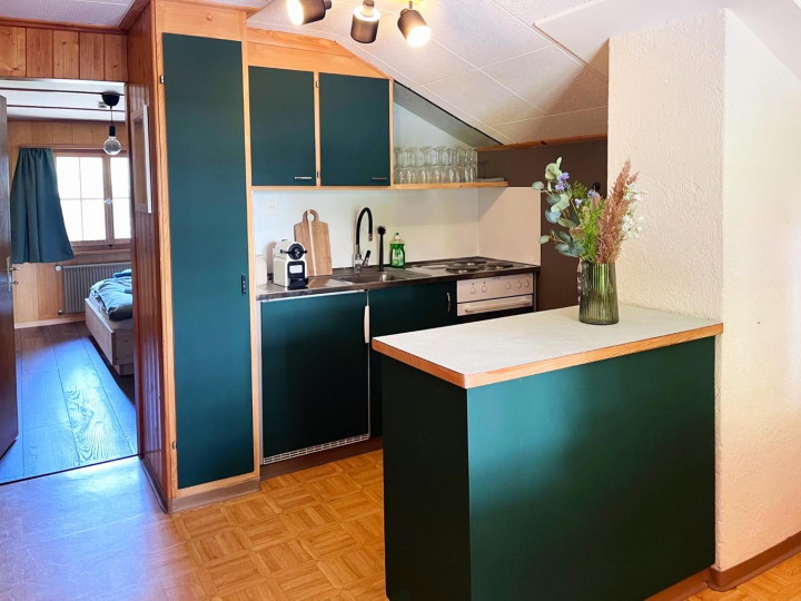 Ferienwohnung Dachnest - Andermatt