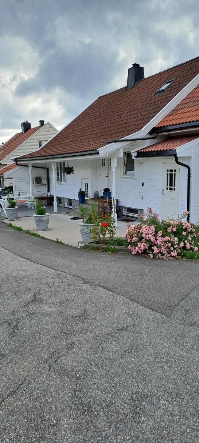 Apartment Tryms Vei 20a - Stor Leilighet - Kristiansand