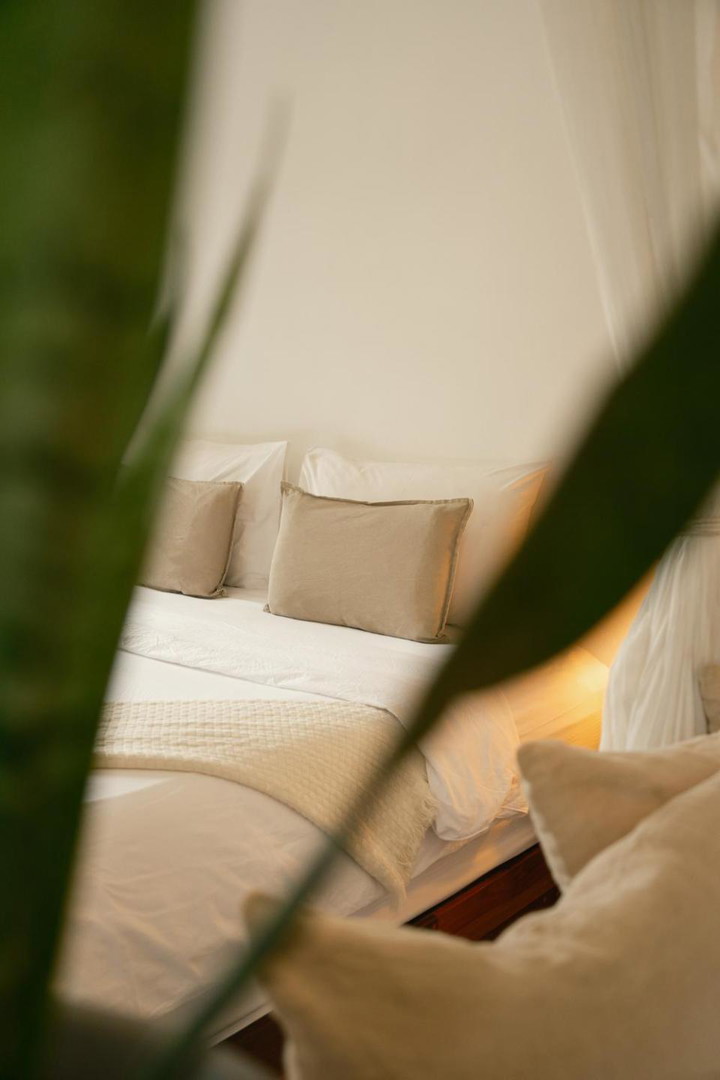 Big Tree Boutique Hotel - Koh Tao