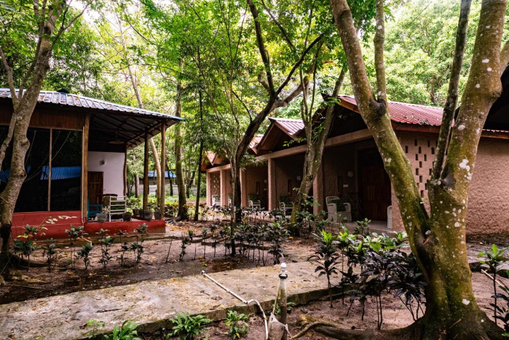 The Diveresort And Dancing Dugong Cafe - Havelock island (Swaraj Dweep)