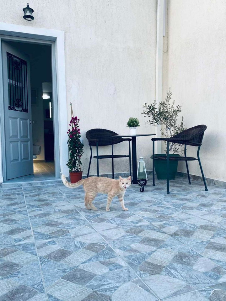 Leivadaros Apartments - Santorini