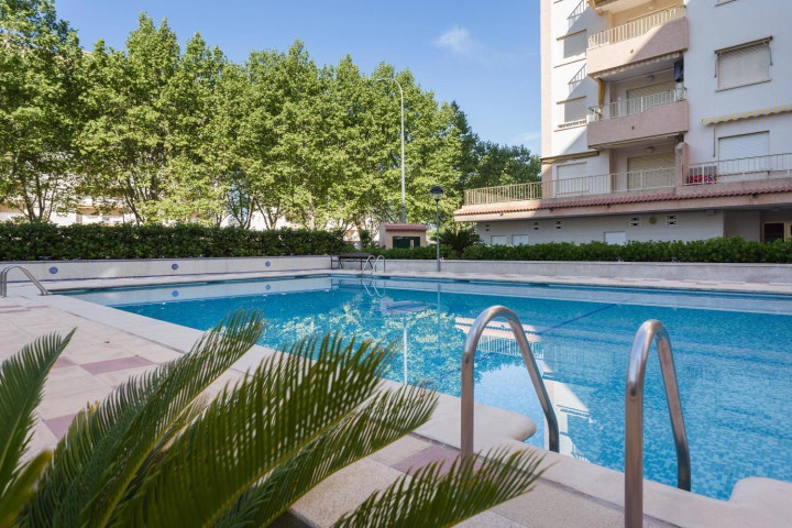 Jardín X - Oliva