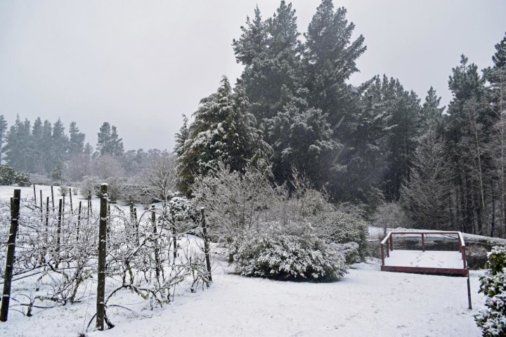 Windrush On Hogsback - Hogsback