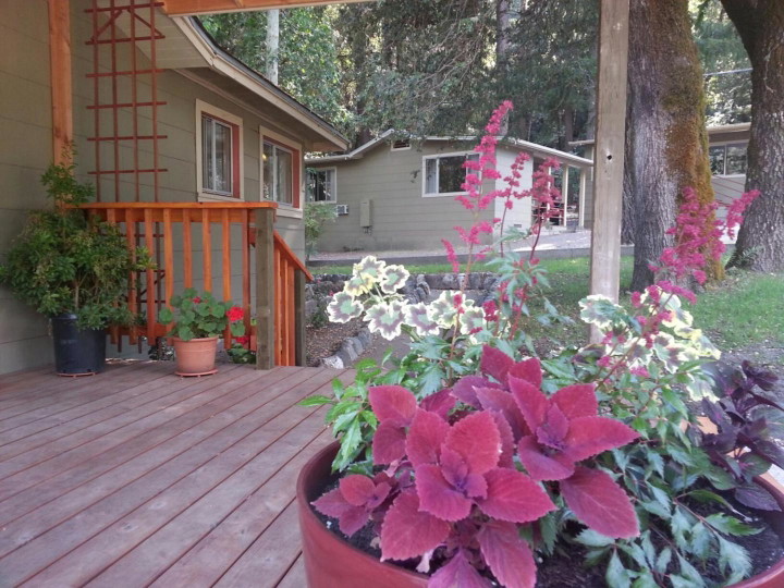 China Creek Cottages - California