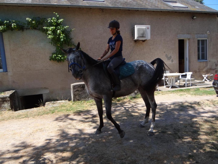 Tout Crin - Francia