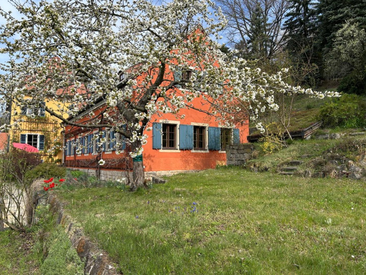 Winzerhaus Am Elbhang - Dresde