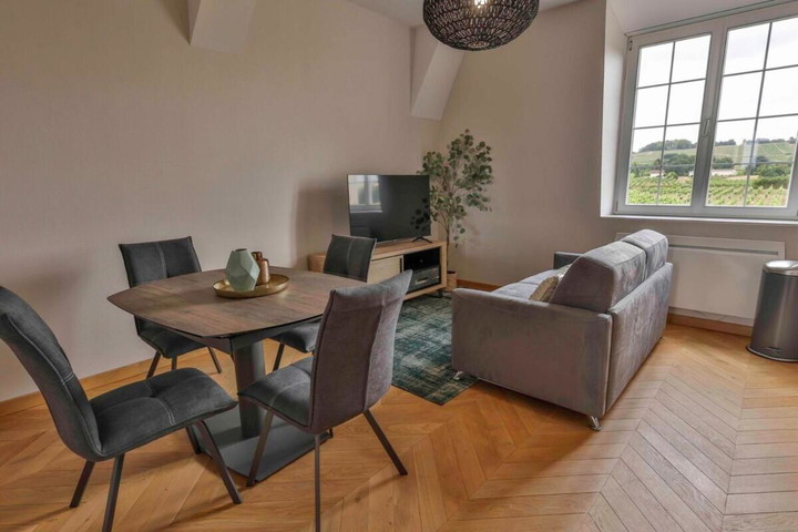 Domaine Grand Piquecaillou - L'appartement Saint Emilion - Langon