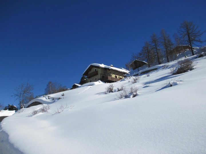 Petite Cerise - Cogne