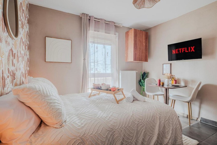 Le Floréal - Netflix I Centre -Ville I 2 Min Allemagne - Strasbourg