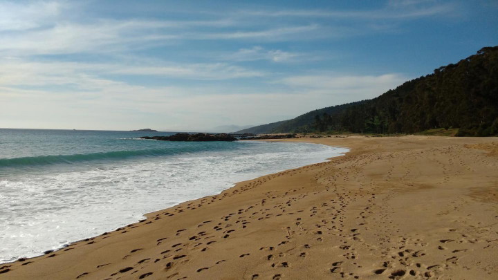 A Pasos De La Playa Punta Fundadores Punta Puyai - Papudo