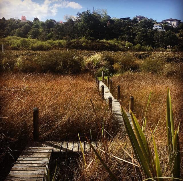 Uniqueness - Tauranga