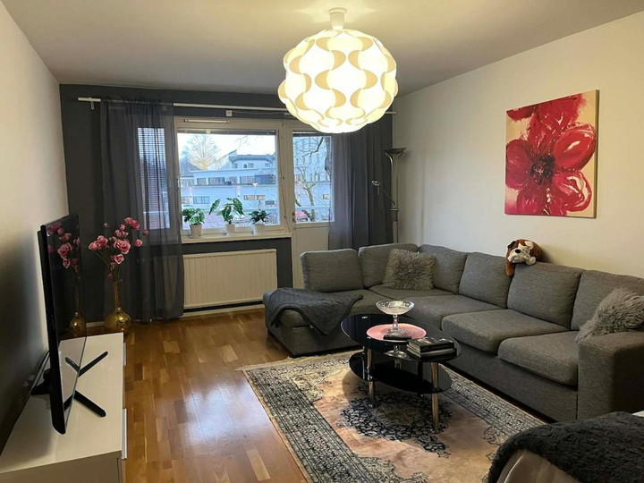 Nygatan 11 Downtown Apartment - Mariehamn