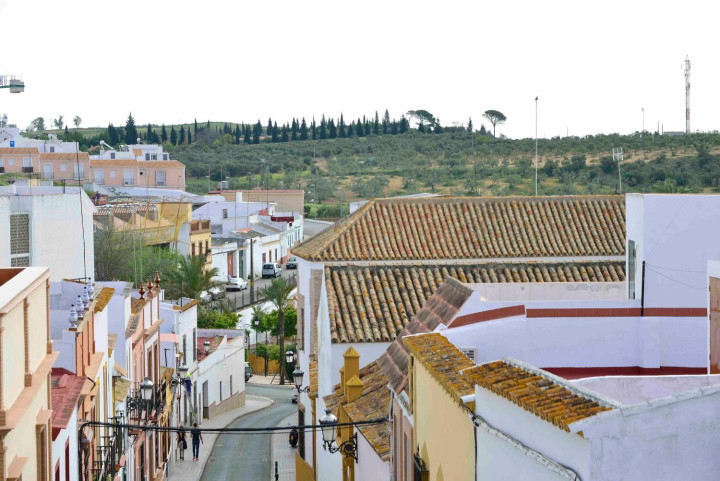 New Andalusian House 33 Free Private Parking - Carmona