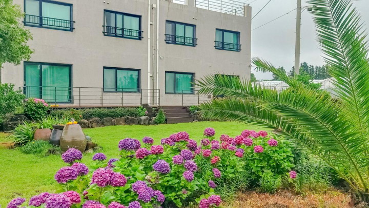 Jeju Chunjane Pension - Jeju