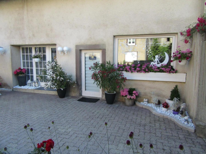 La Belle Endormie - Appartement A - Moselle