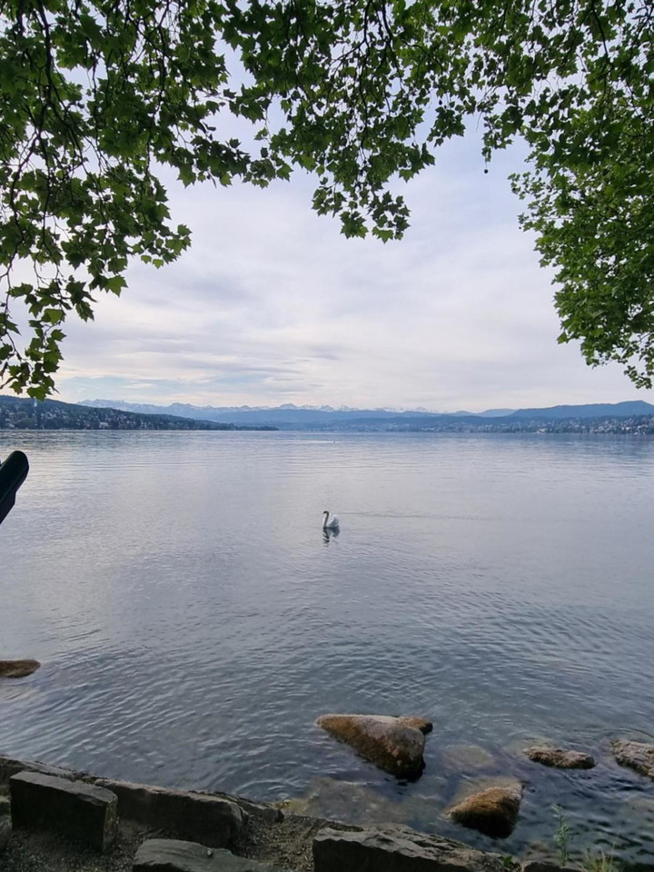 Yveskinyoga - Winterthur