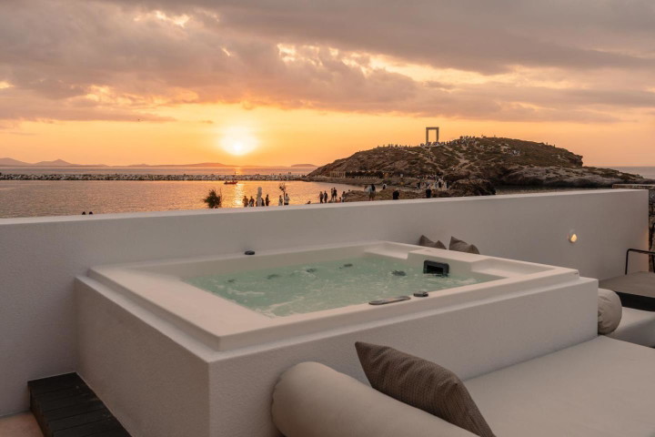 Naxos Rhyton - Naxos