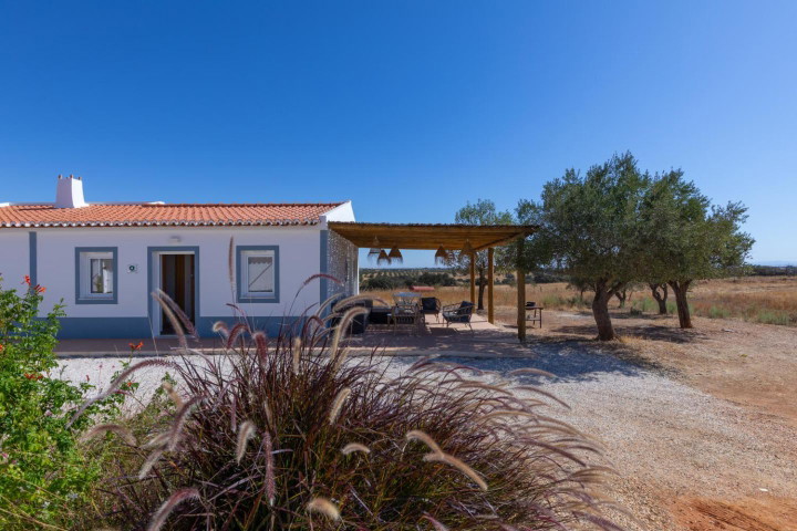 Vinhas Douradas - Alentejo