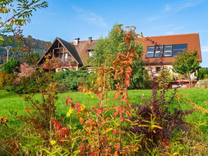 Appartement Charmant à Thannenkirch Avec Vue Montagne - Ribeauvillé