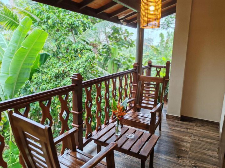 The Jungle View -