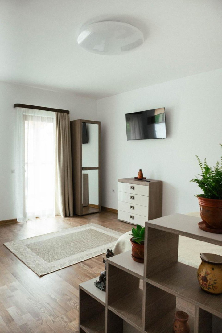 Cozy Apartment On The Picturesque Niraj Valley - Romania
