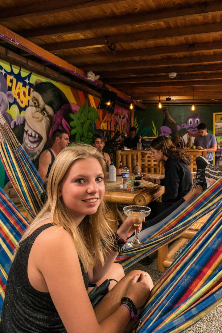 Purple Monkey Hostel - Medellín