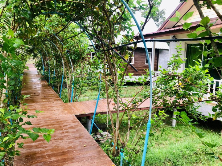 Baan Thung Home Stay - Buri Ram