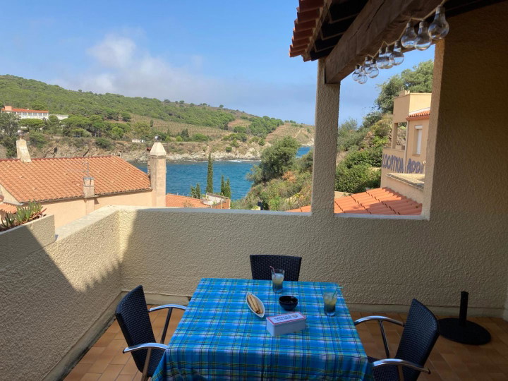 T3 Pieds Dans L'eau Clim Wifi Terrasse Vue Mer - Banyuls-sur-Mer