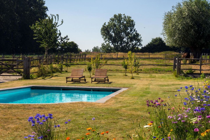 Vakantiewoning De Wilg - Rustig Gelegen - Région Flamande