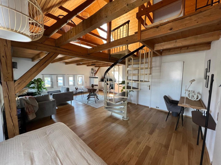 Crown Living Wohlfühl Loft Bregenz - Loft Nahe Bodensee, Boxspringbett, Küche, Zentrumsnah, Ideal Für Feriengäste Und Geschäftsreisende - Lindau (Bodensee)
