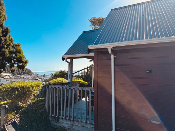 Alba Pacis - Paihia