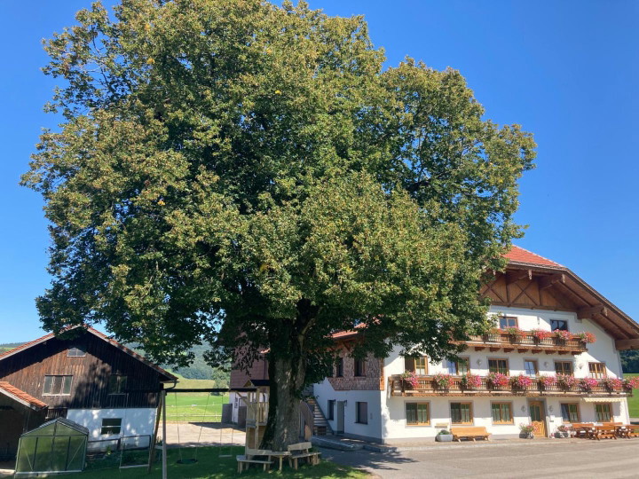 Biohof-feichtinger - Mondsee