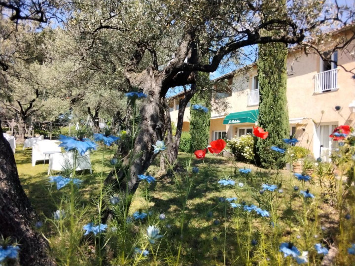 La Picholine En Provence - Vaison-la-Romaine