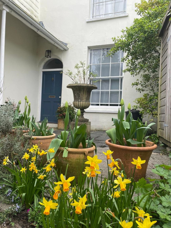 Luxury Flat In Totnes - Totnes