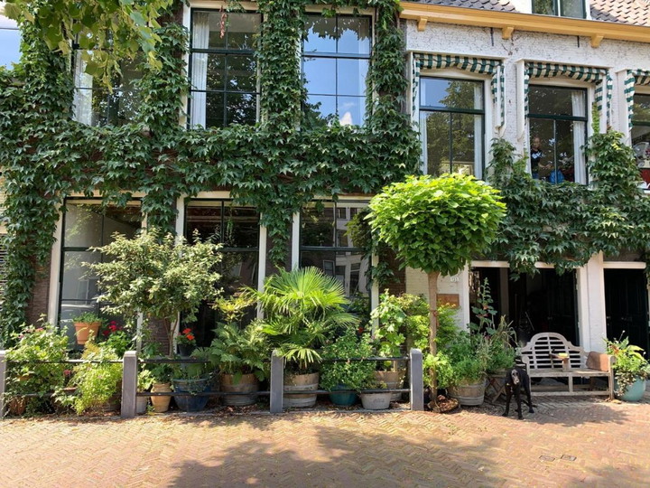 'T Hart Van Schiedam - ロッテルダム