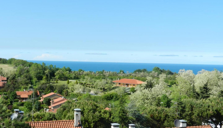 Collemare - Pesaro