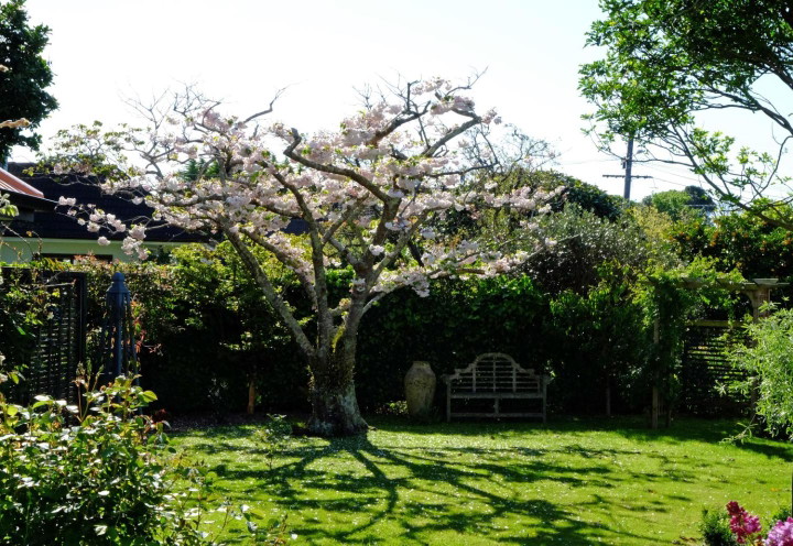 Garden Retreat - Wairarapa