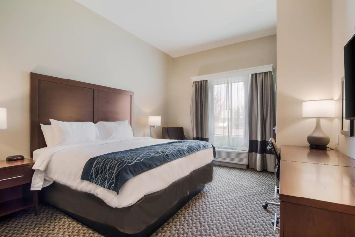 Comfort Inn & Suites Rock Hill Northeast - Rock Hill
