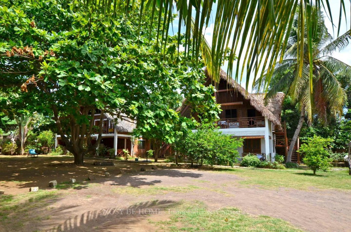 L'antafa - Madagascar