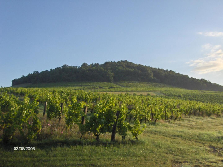 La Maison Du Vigneron - Rhône