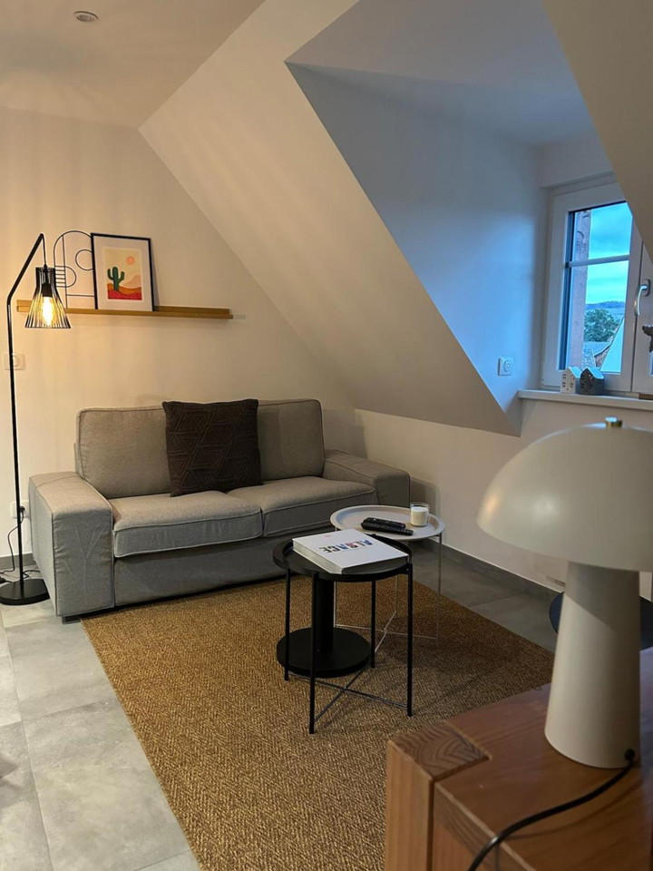 Charmant Appartement Avec Vue Sur Les Vignes - Ammerschwihr