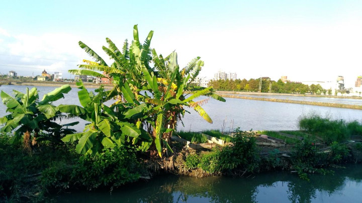 Breadtree Homestay - Yilan County