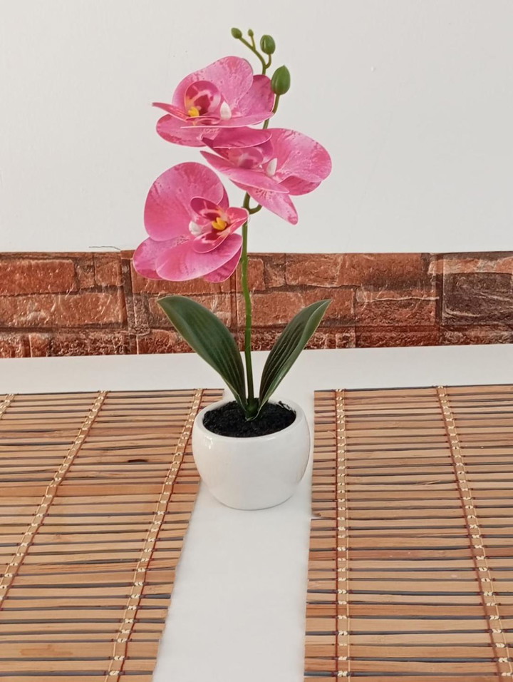 Apartment Natti - Novi Sad