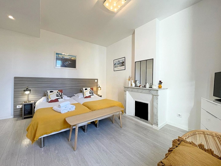 Lovely And Modern 1 Bedroom City Centre Cannes - Cannes