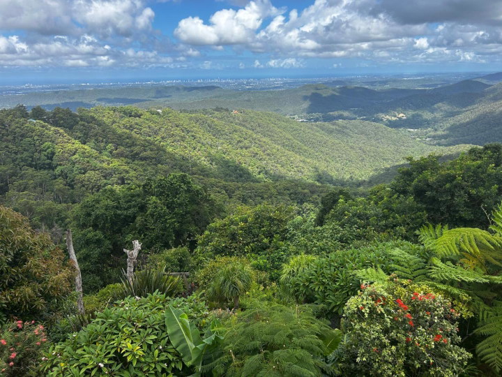 Green Cauldron, Homestay, Tamborine Mountain, Private Room, Ensuite, Private Courtyard, Gold Coast Views - Tamborine Mountain