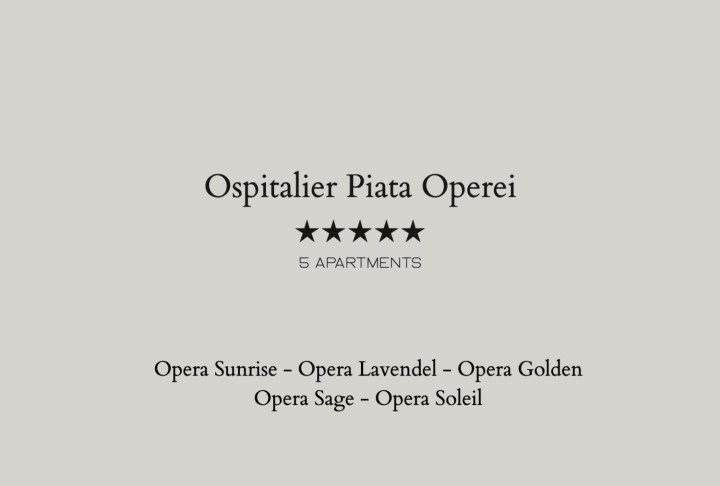 Ospitalier Piata Operei - 5 Spacious Apartments In City Center - Timișoara