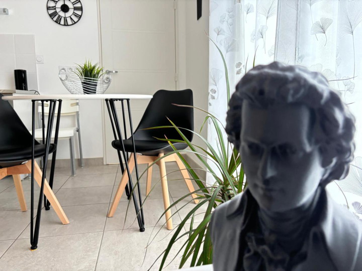 Appartement Calme,lumineux ,Hyper Centre Tours - Joué-lès-Tours