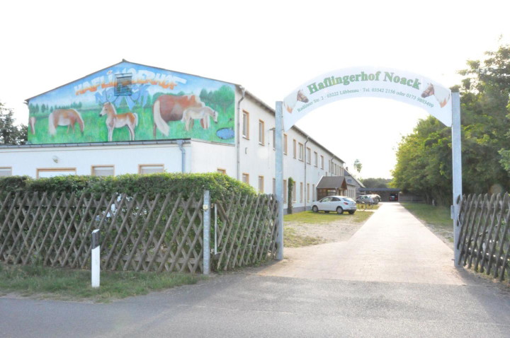 Haflingerhof Noack - Lübbenau/Spreewald