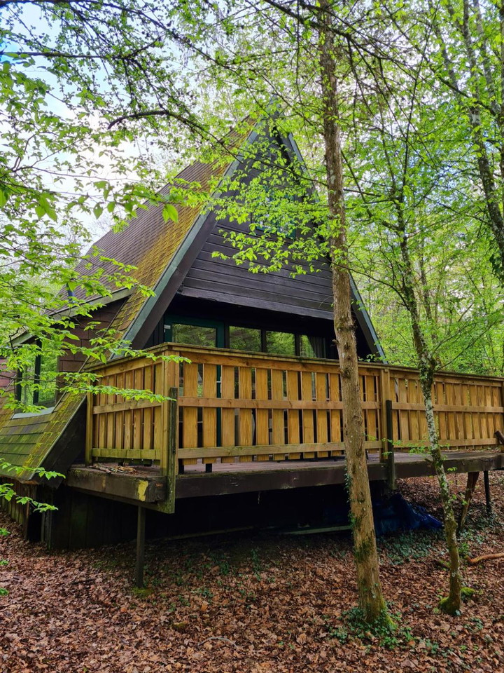 Chalet D Ooghe - Belgique
