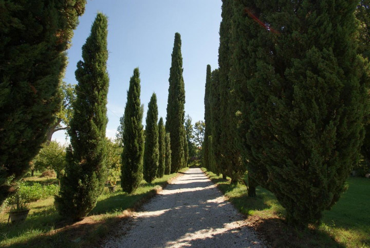 Villa Ghislanzoni - Vicenza
